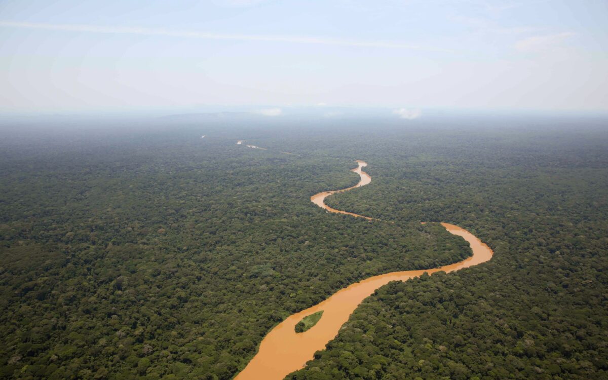 Rainforest conservation meets cacao production in the Congo Basin ...