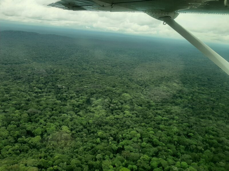 In Ituri Province in DRC, a Sustainable Cocoa Coalition is Shaping up ...